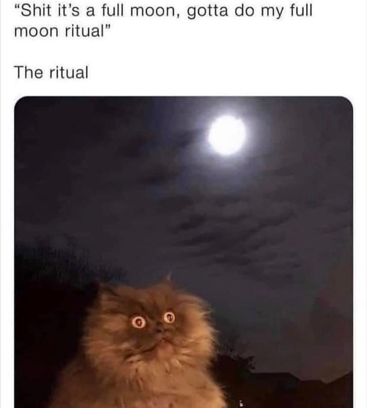 Happy Full Moon – 6/14/2022